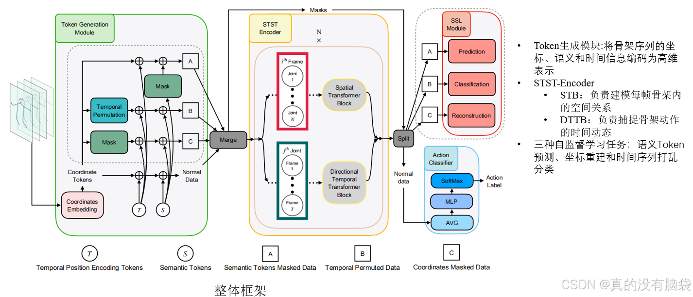 Spatial-Temporal Specialized Transformer for Skeleton-based Action Recognition-CSDN博客