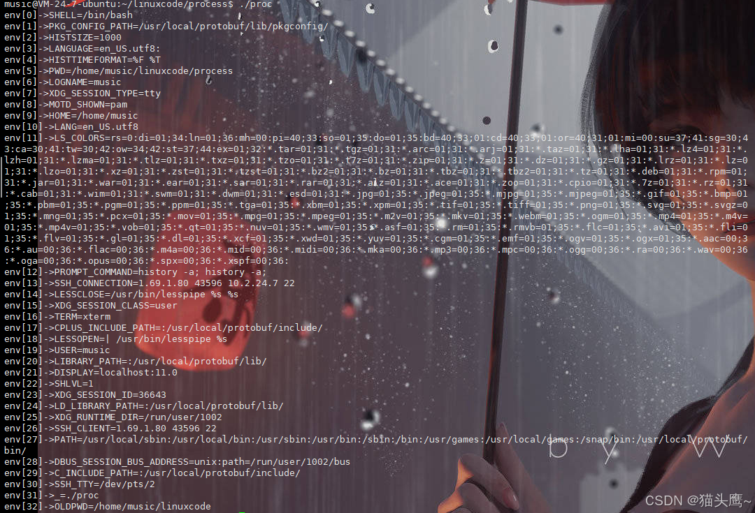 linux环境变量_linux ${user.home}-CSDN博客