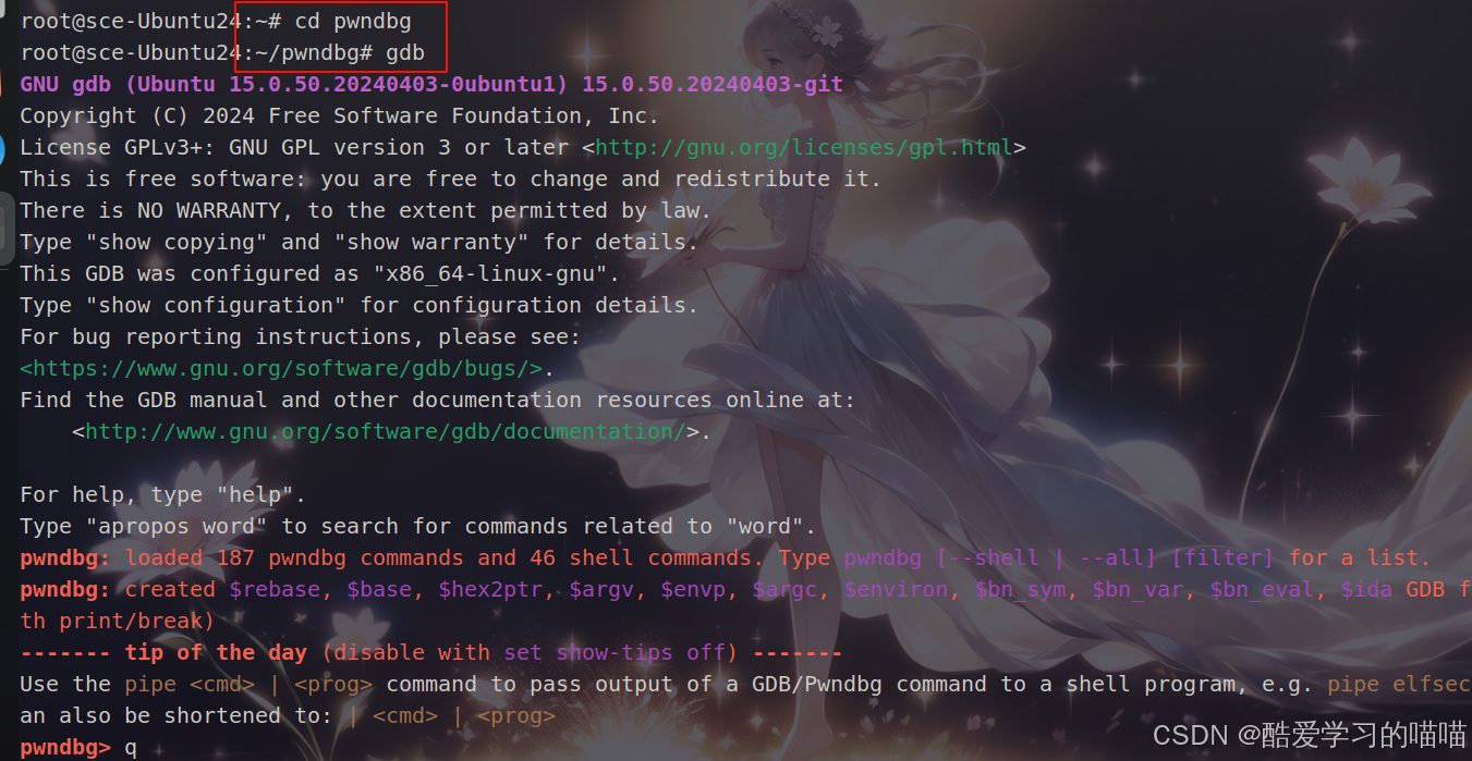 在Ubuntu里面如何正确安装pwndbg_pwndbg安装-CSDN博客