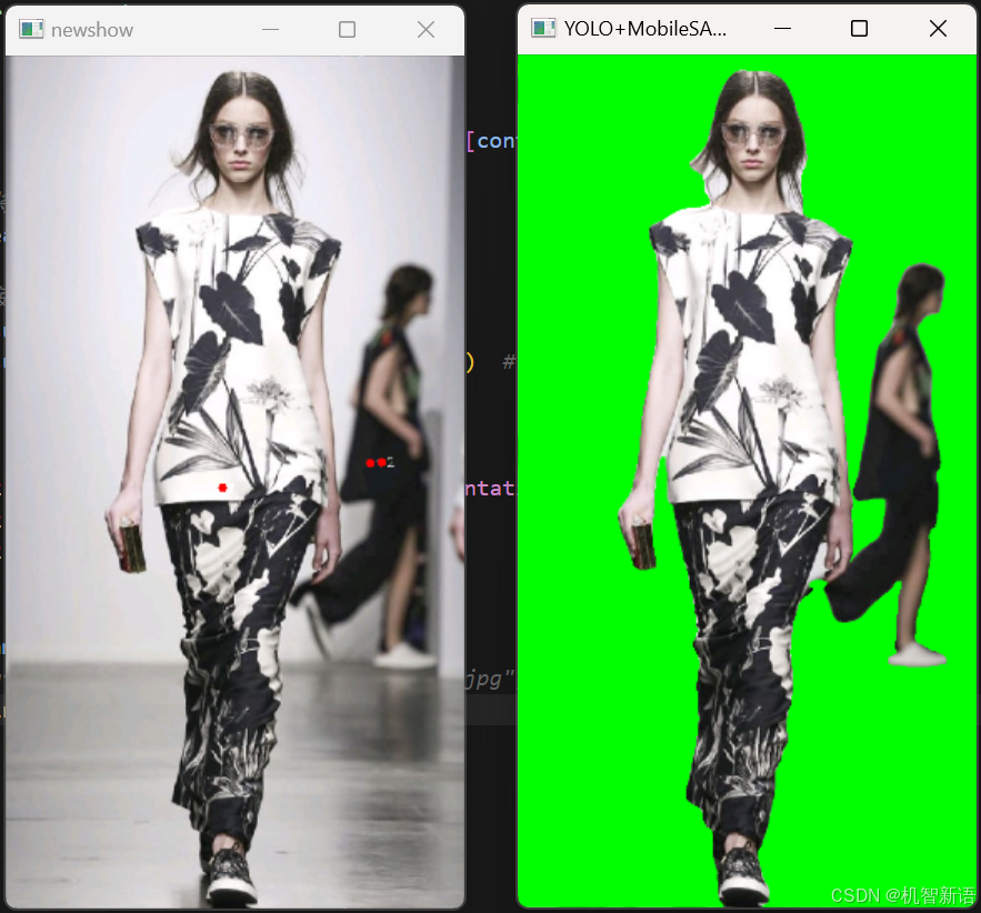 基于 MobileSAM+YOLOv11n 的（支持多人）自动人物抠图应用 Python 实现_yolo 11 抠图-CSDN博客