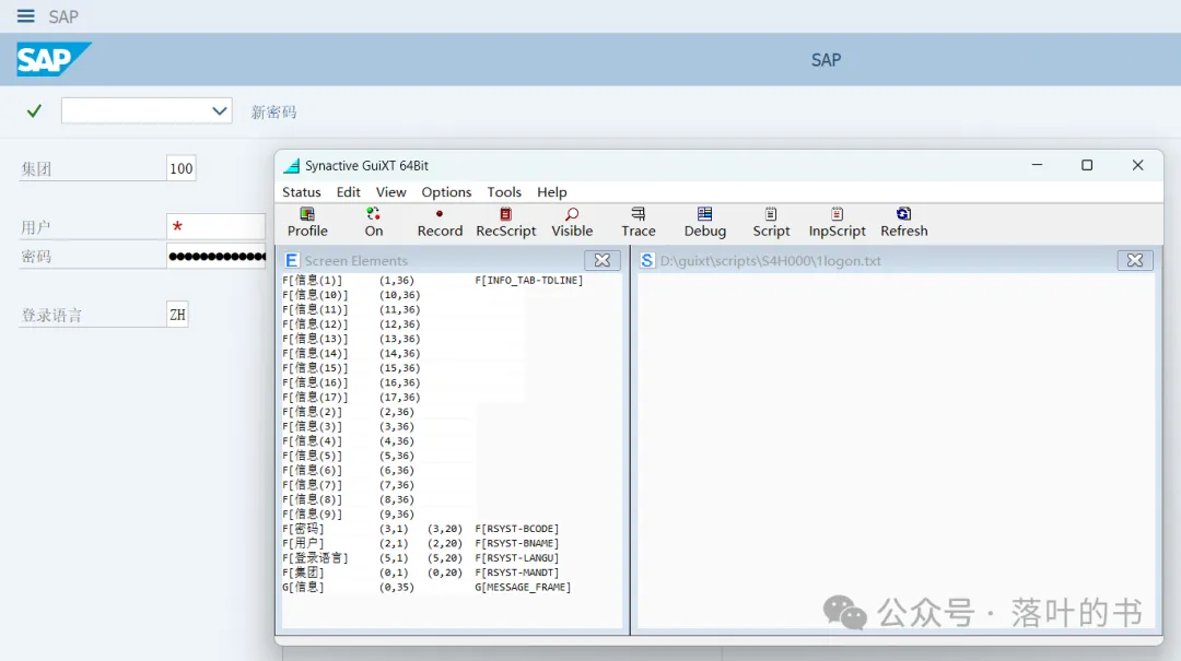 SAP GUI的装修小助手GuiXT_sap guixt用法-CSDN博客