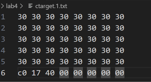 tju代码攻击实验_代码注入攻击实验-CSDN博客