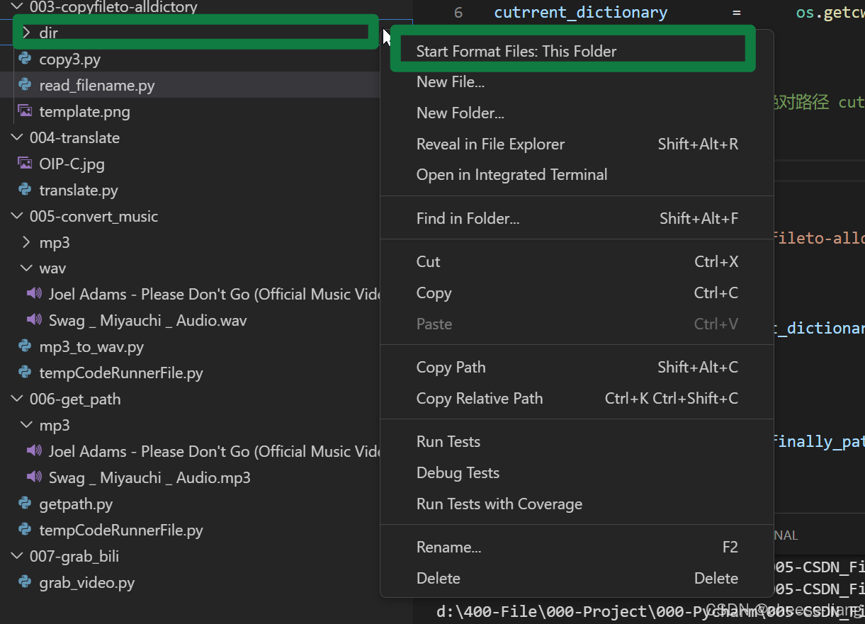 如何快速调整python代码格式——Vscode_vscode python格式化插件-CSDN博客