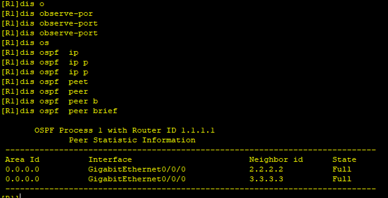 OSPF实验报告-CSDN博客