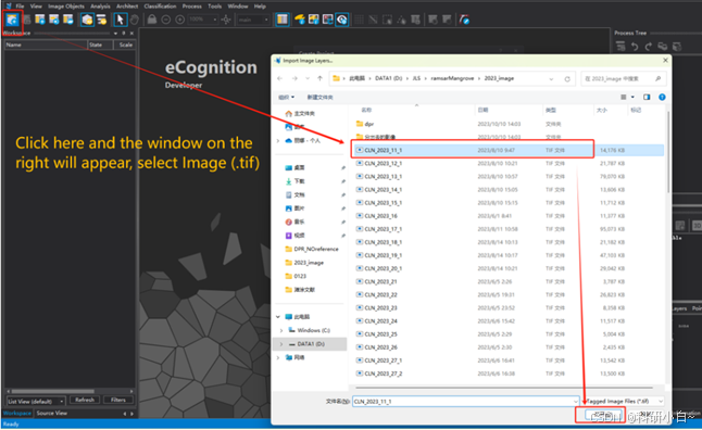 基于eCognition平台利用Sentinel-L2A时间序列卫星影像追踪潮间带湿地年度动态变化_gee 潮间带-CSDN博客