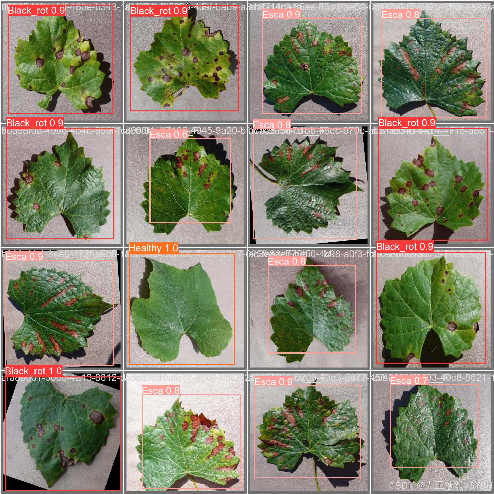 基于深度学习YOLOv10的葡萄叶片病害检测系统（YOLOv10+YOLO数据集+UI界面+Python项目源码+模型）_基于深度学习的葡萄叶部病害图像分类系统-CSDN博客