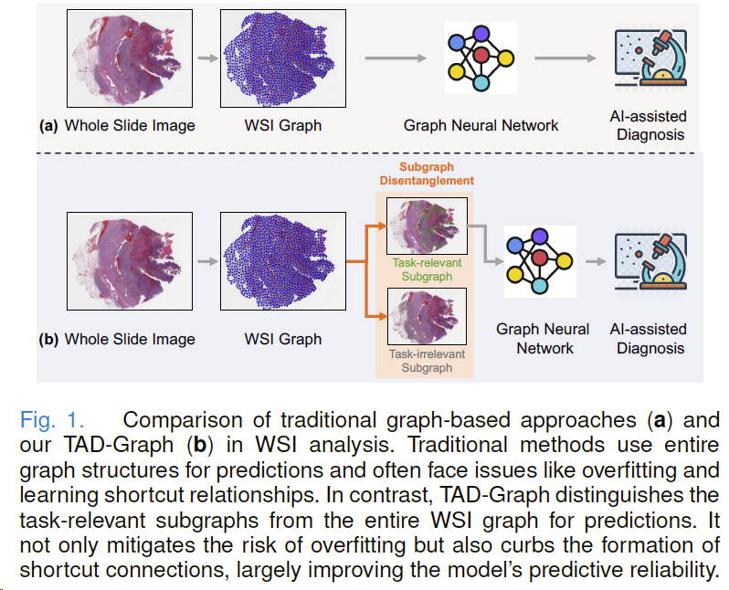 论文130：TAD-Graph: Enhancing whole slide image analysis via task-aware subgraph disentanglement ...