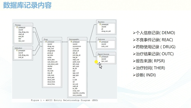 FAERS数据库简介 FDA不良事件报告系统（FAERS）操作指南-CSDN博客