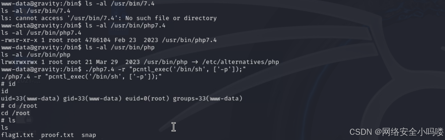 靶场（十）---小白心得&&靶场思路---Astronaut_grav-admin cve-CSDN博客