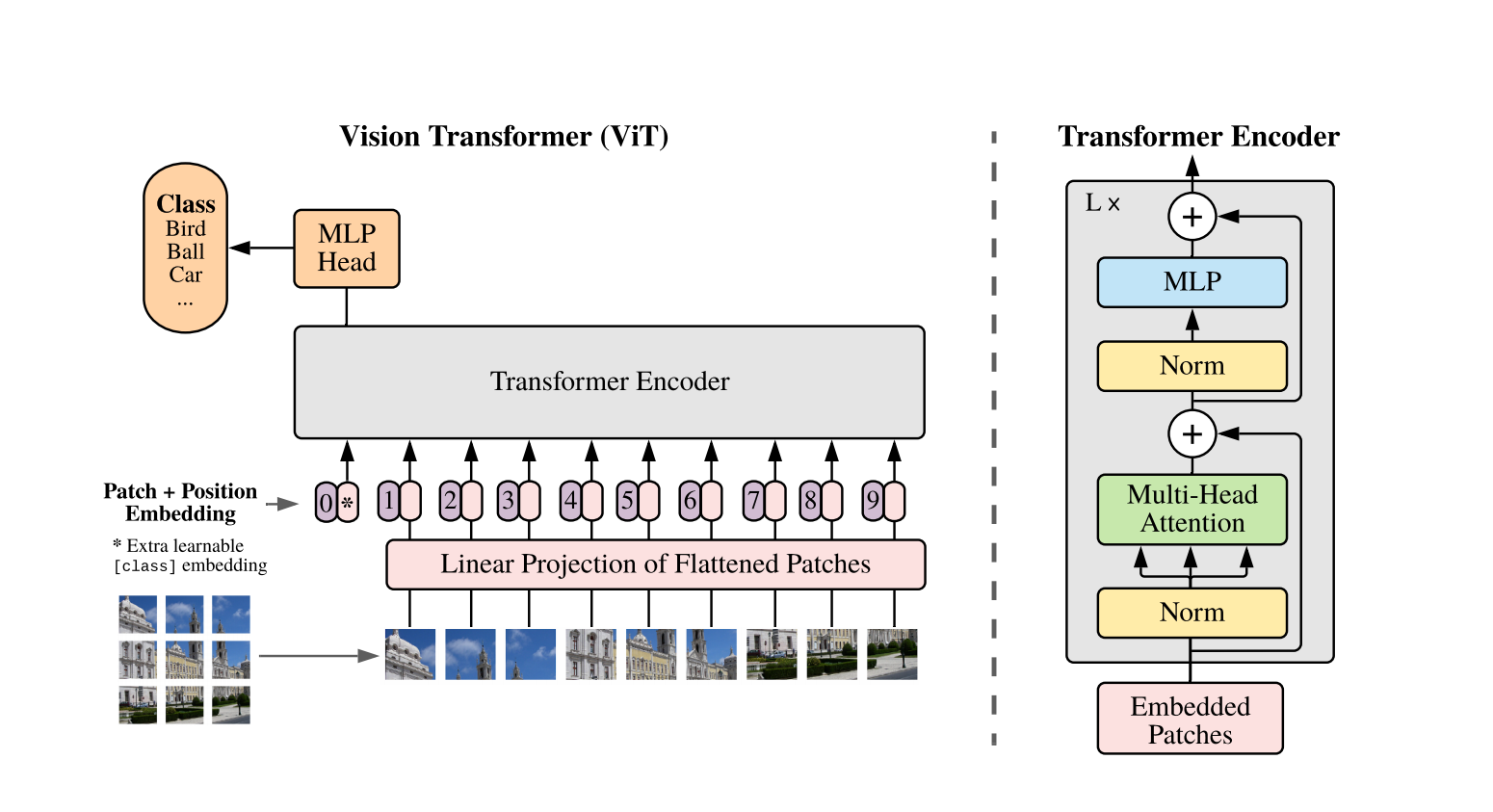 ViT（Vision Transformer）模型代码超级详细讲解（Pytorch实现）_vit模型代码-CSDN博客