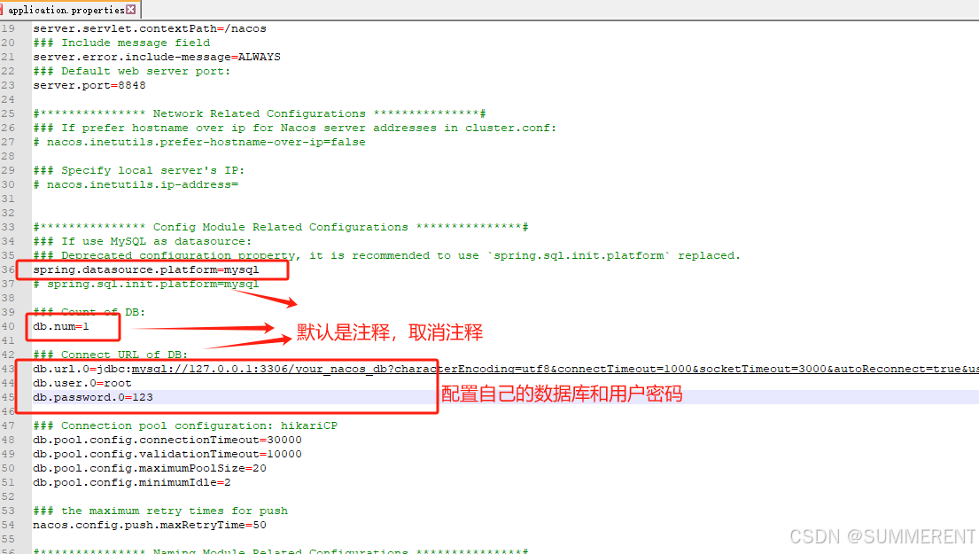 Nacos 安装配置步骤详解_nacos 2.5.1-CSDN博客