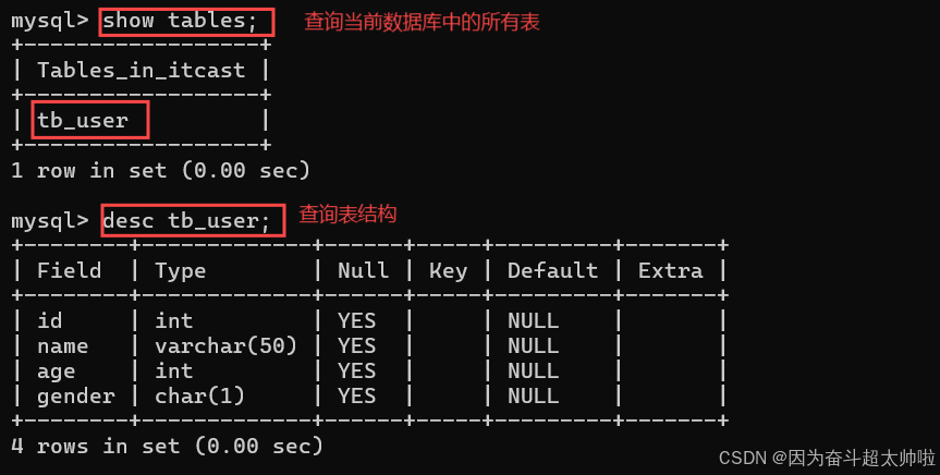 MySQL学习笔记（二）——数据模型、SQL分类、DDL_mysql数据模型层次模型公开课-CSDN博客