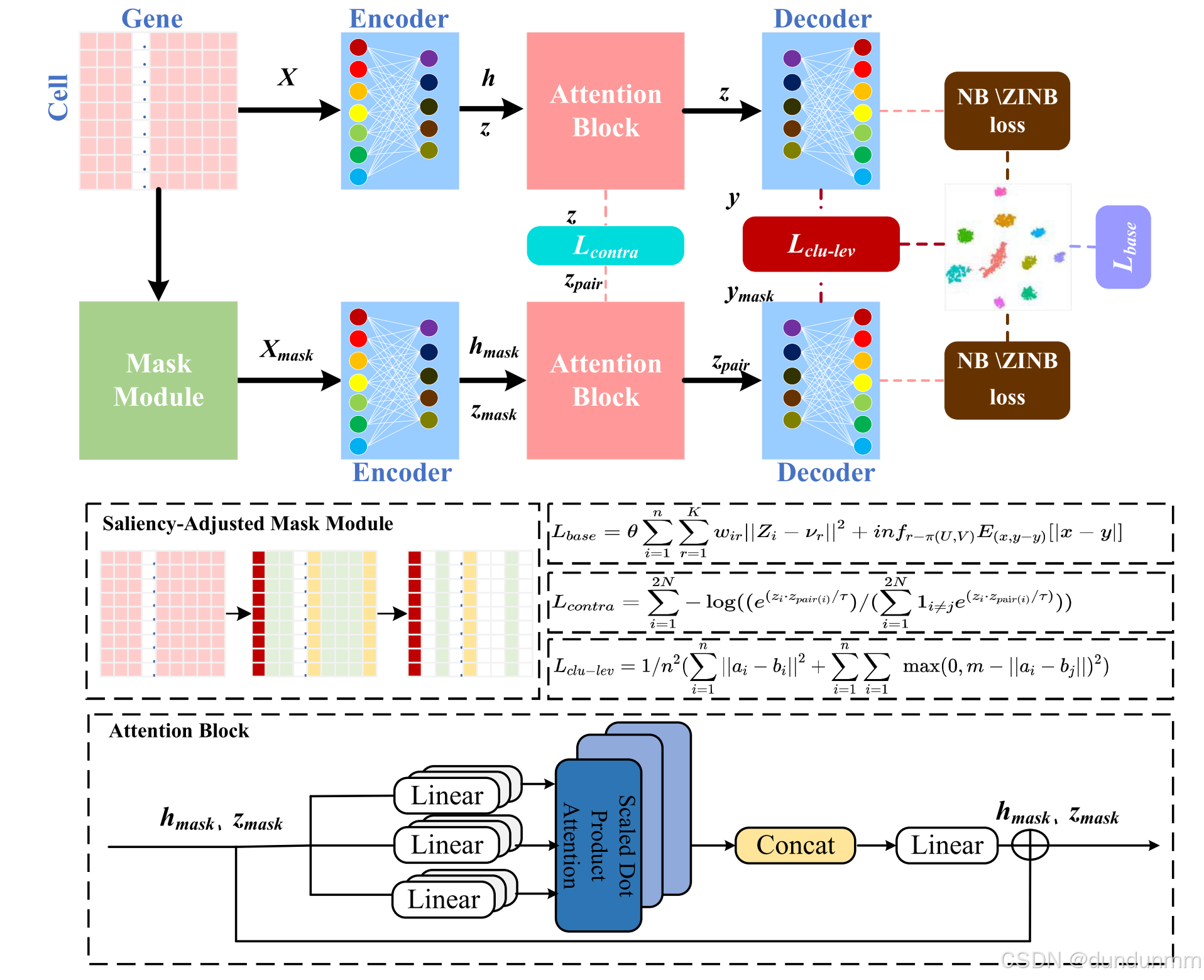 【论文阅读】scSAMAC: saliency-adjusted masking induced attention contrastive ...
