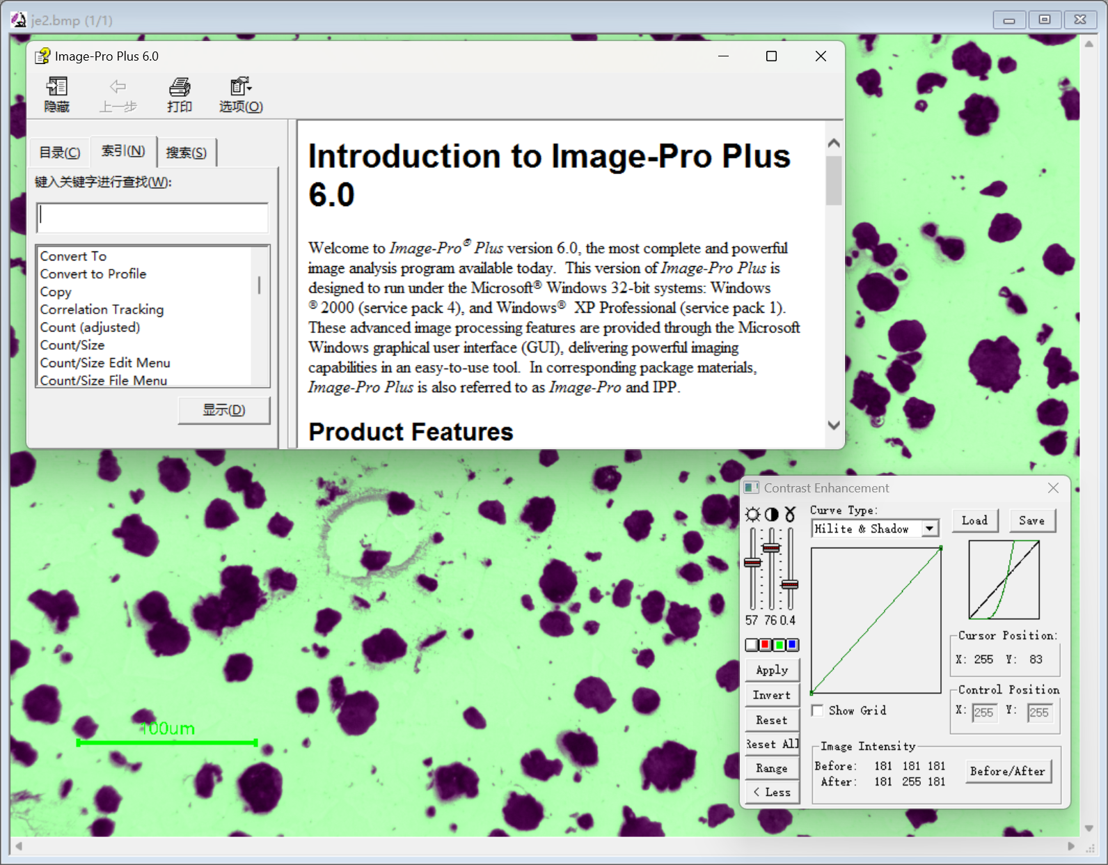 Image Pro Plus 基本操作【数析出相/测量面积、球化率】_image-pro plus-CSDN博客