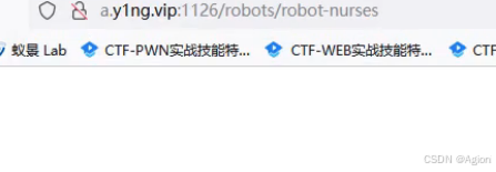 CTF-web题 robots协议_ctf robots-CSDN博客