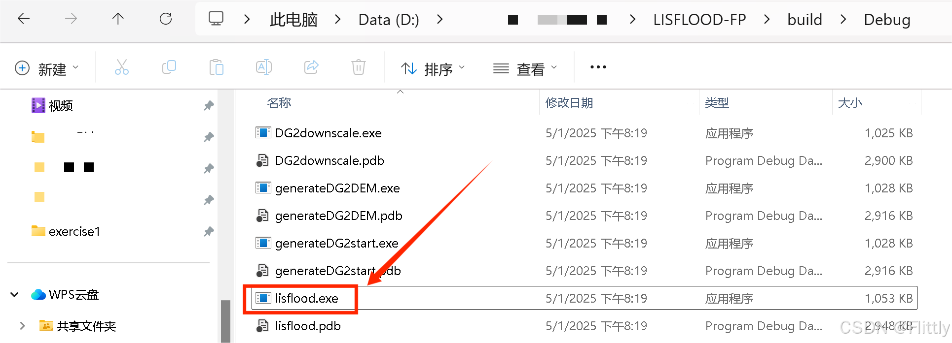 【LISFLOOD-FP使用指南】（1）快速上手-CSDN博客