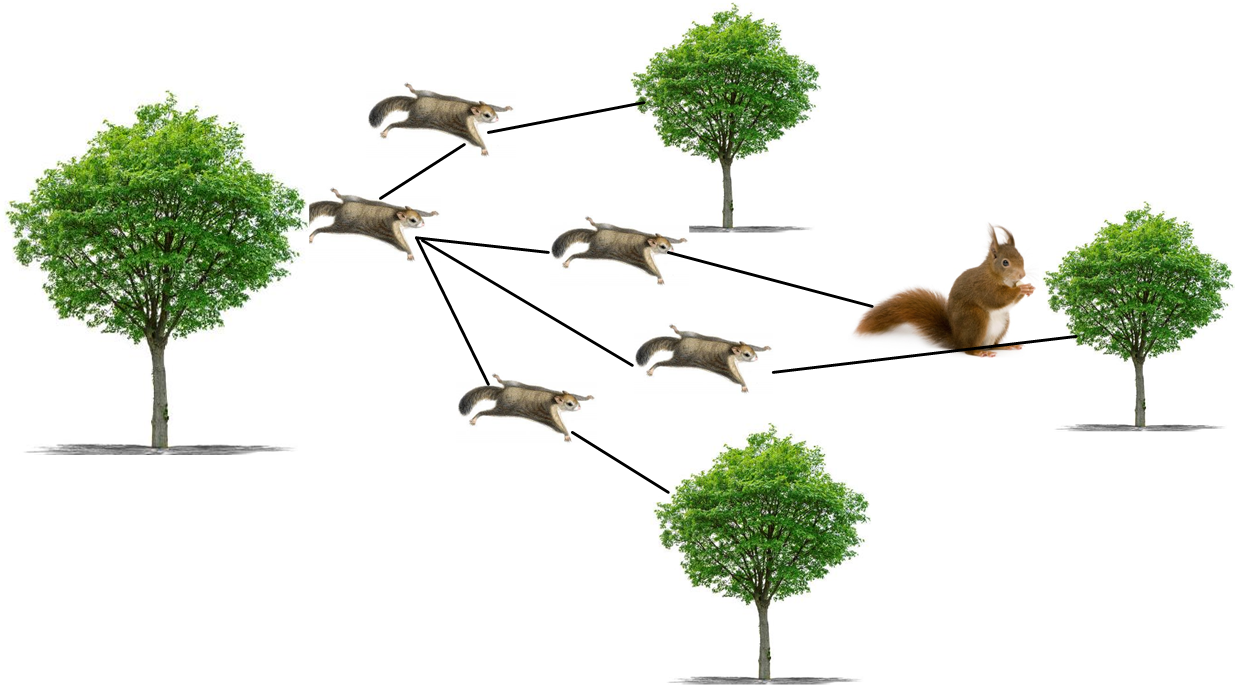 松鼠搜索算法Squirrel Search Algorithm详解-CSDN博客