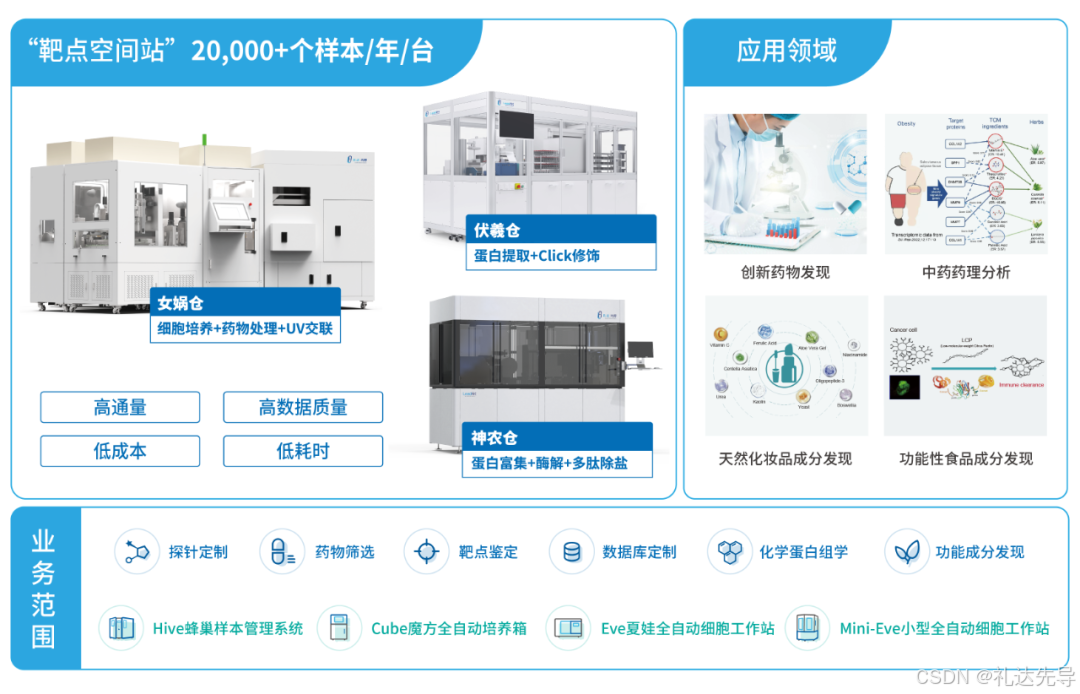 【有问必达】抗衰老靶点如何赋能女性健康？——从科学到应用_l贸pez-ot铆n, c., et al. (2013). the hallmarks of ag-CSDN博客