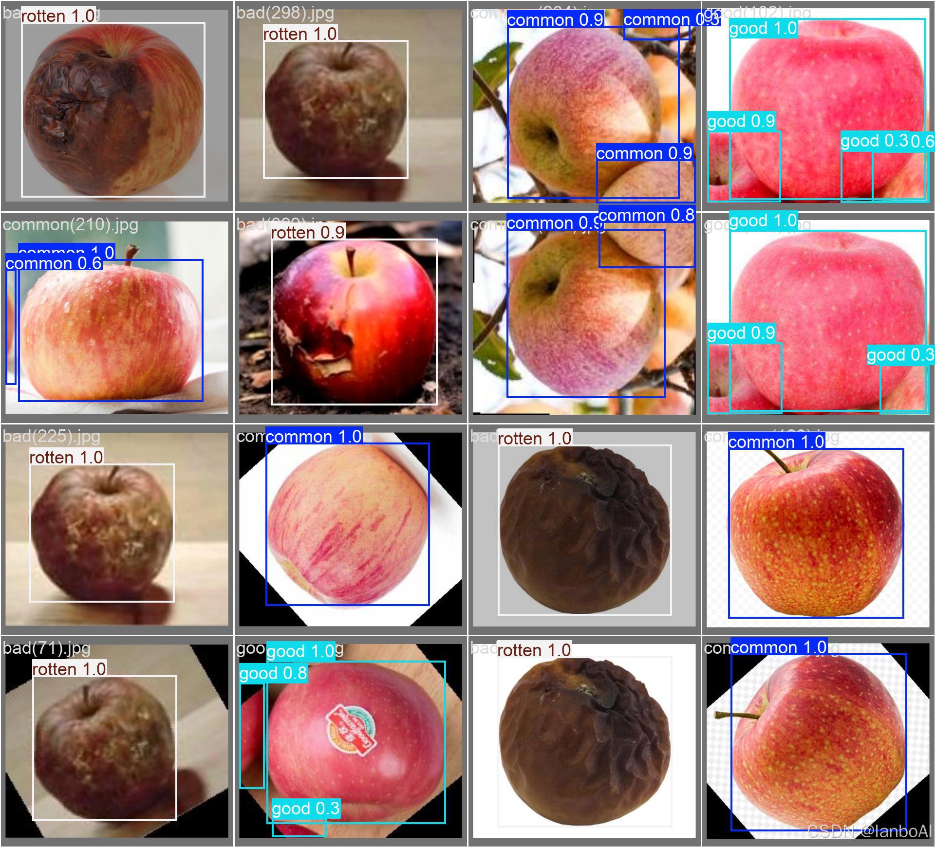 基于yolov11的苹果分级、新鲜度检测识别系统，支持图像、视频和摄像实时检测【pytorch框架、python源码】基于yolov11的苹果新鲜度智能识别与分拣系统 Csdn博客