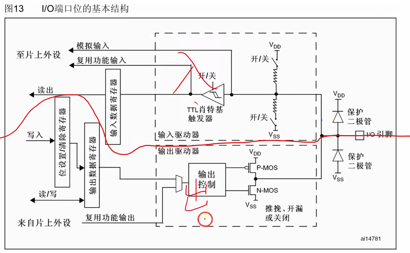 铁头山羊STM32打卡记录Day1（GPIO输出）-CSDN博客