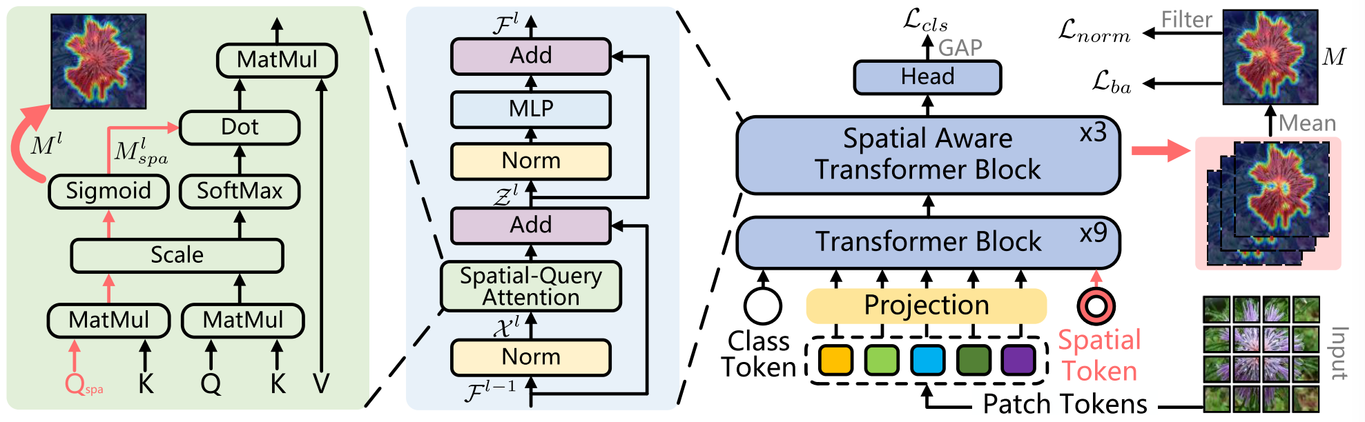 Spatial-Aware Token for Weakly Supervised Object Localization 论文解读-CSDN博客