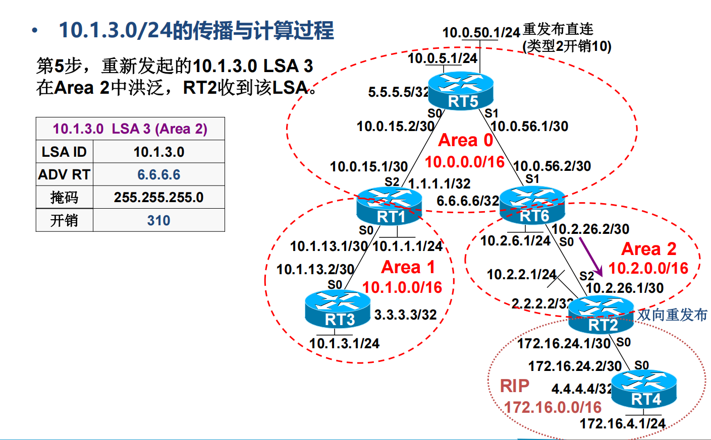 多区域OSPF总结-CSDN博客