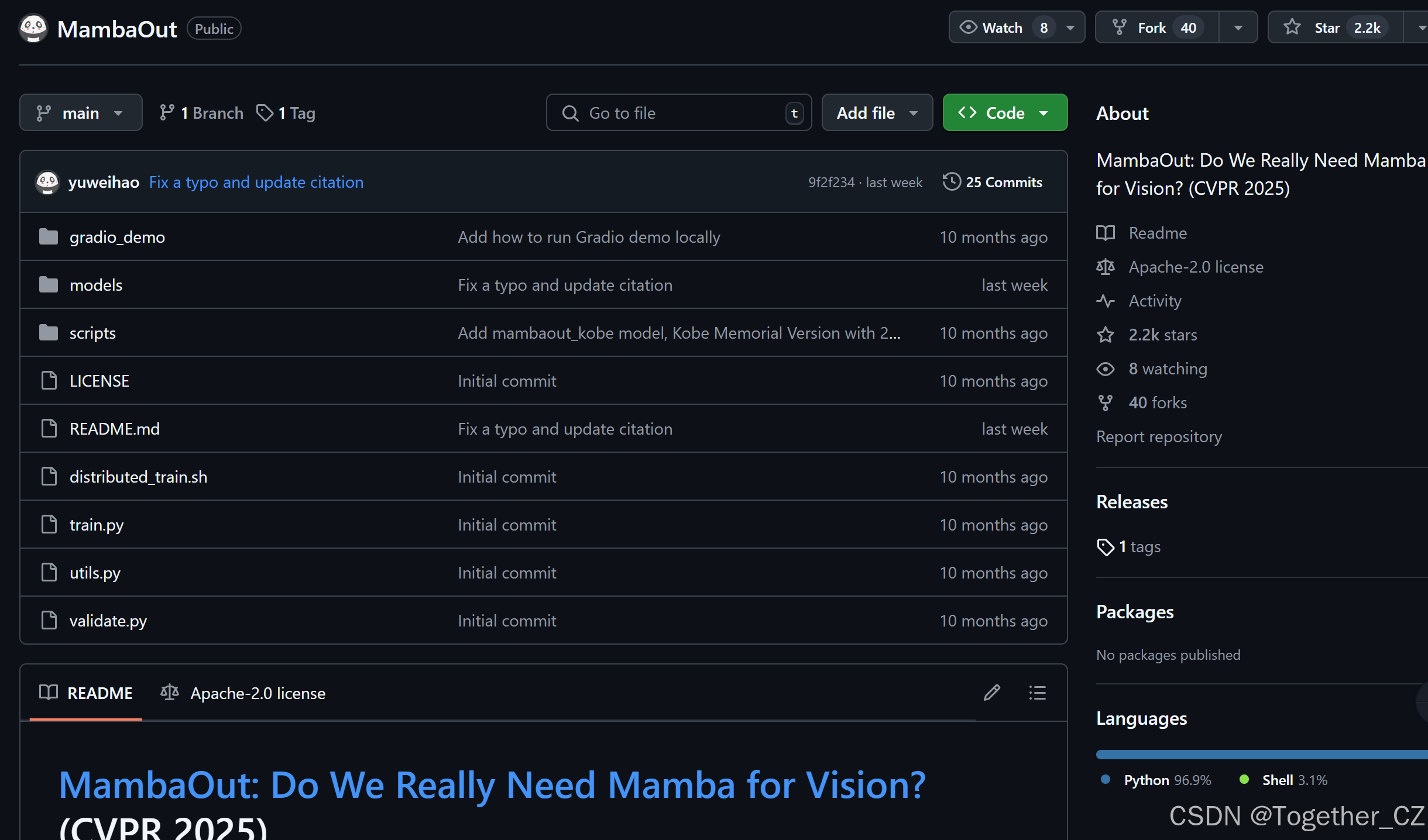 MambaOut: Do We Really Need Mamba for Vision?——MambaOut：我们真的需要 Mamba 用于视觉吗？-CSDN博客