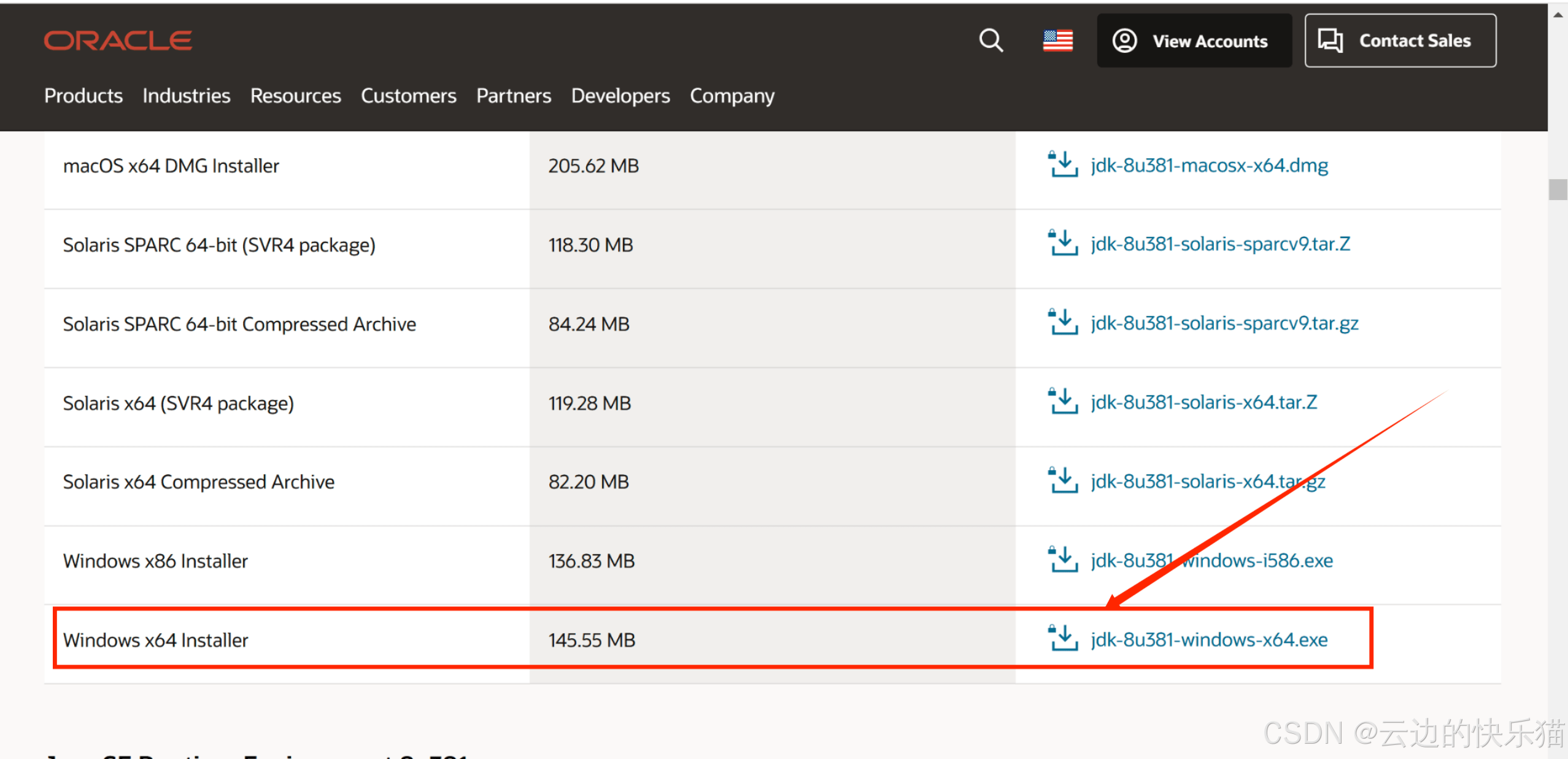 2024最新官网下载安装配置JDK8（1.8u381）的详细步骤_jdk8u381-CSDN博客