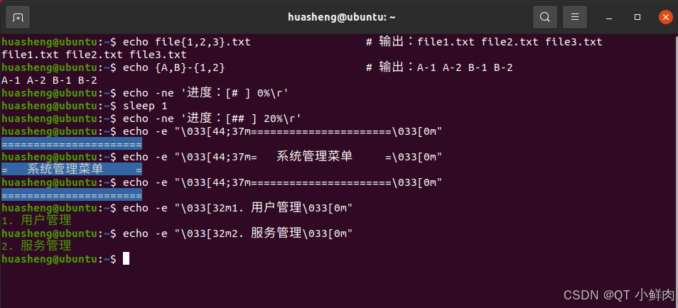 【Linux常用命令大全】在 Linux 系统下 echo 命令完全指南：从基础到高级应用（亲测有效）_echo用法大全总结-CSDN博客