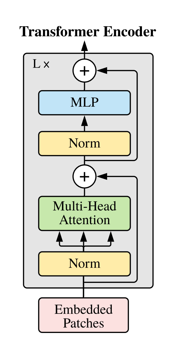 ViT（Vision Transformer）模型代码超级详细讲解（Pytorch实现）_vit模型代码-CSDN博客