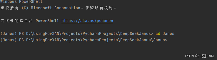 Python 【大模型】之 Deepseek 多模态 Janus 【图生文】【文生图】本地部署/代码调用 的简单整理_本地部署 janus-CSDN博客