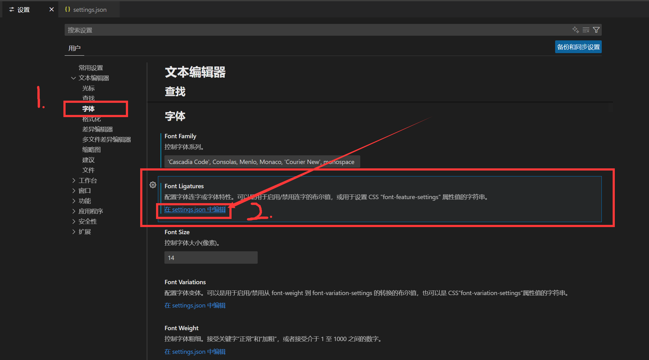 vscode配置使用Cascadia Code字体_cascadia code下载下来压缩包 wind11 怎么安装这个字体-CSDN博客