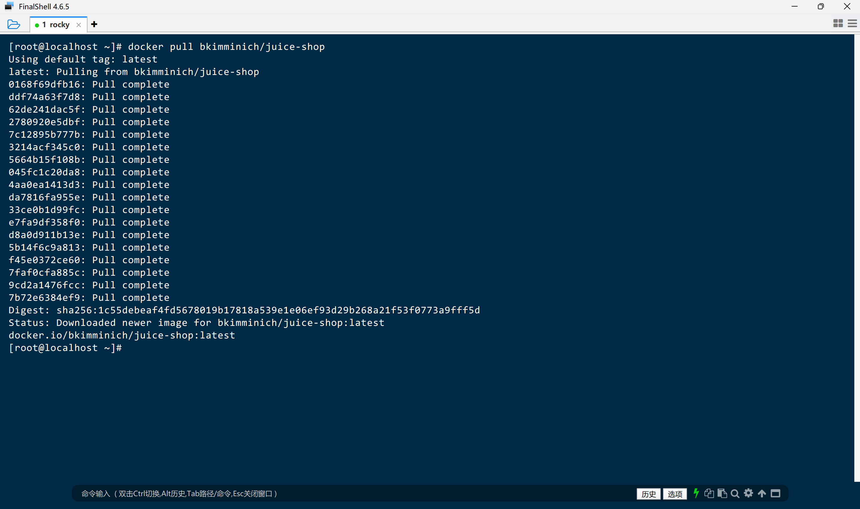 Owasp juice shop 安装教程【docker】-CSDN博客