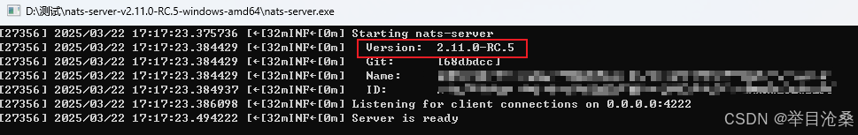 消息中间件 - 2.Nats_nats中间件-CSDN博客