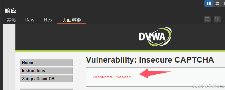 DVWA靶场实录(完):从Insecure CAPTCHA到XSS_vulnerability: insecure captcha-CSDN博客
