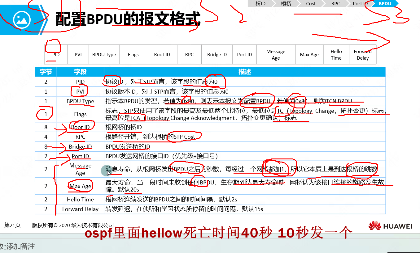 stp状态转换及配置bpdu报文格式-CSDN博客