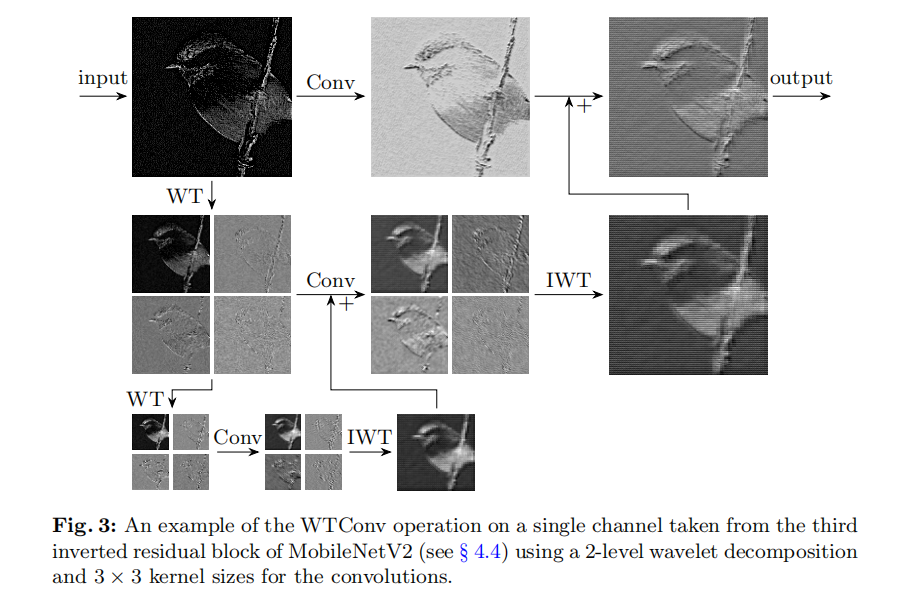 (即插即用模块-Convolution部分) 十七、(2024 ECCV) WTConv 小波变换卷积_小波conv-CSDN博客