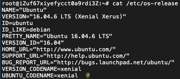 /etc/os-release 文件包含了操作系统的详细信息_os-release文件-CSDN博客