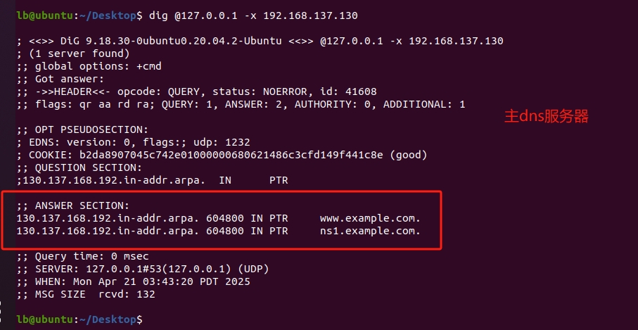 Ubuntu（Linux）环境中DHCP分配IP地址和搭建主从DNS服务器_ubuntu dhcp服务器搭建-CSDN博客