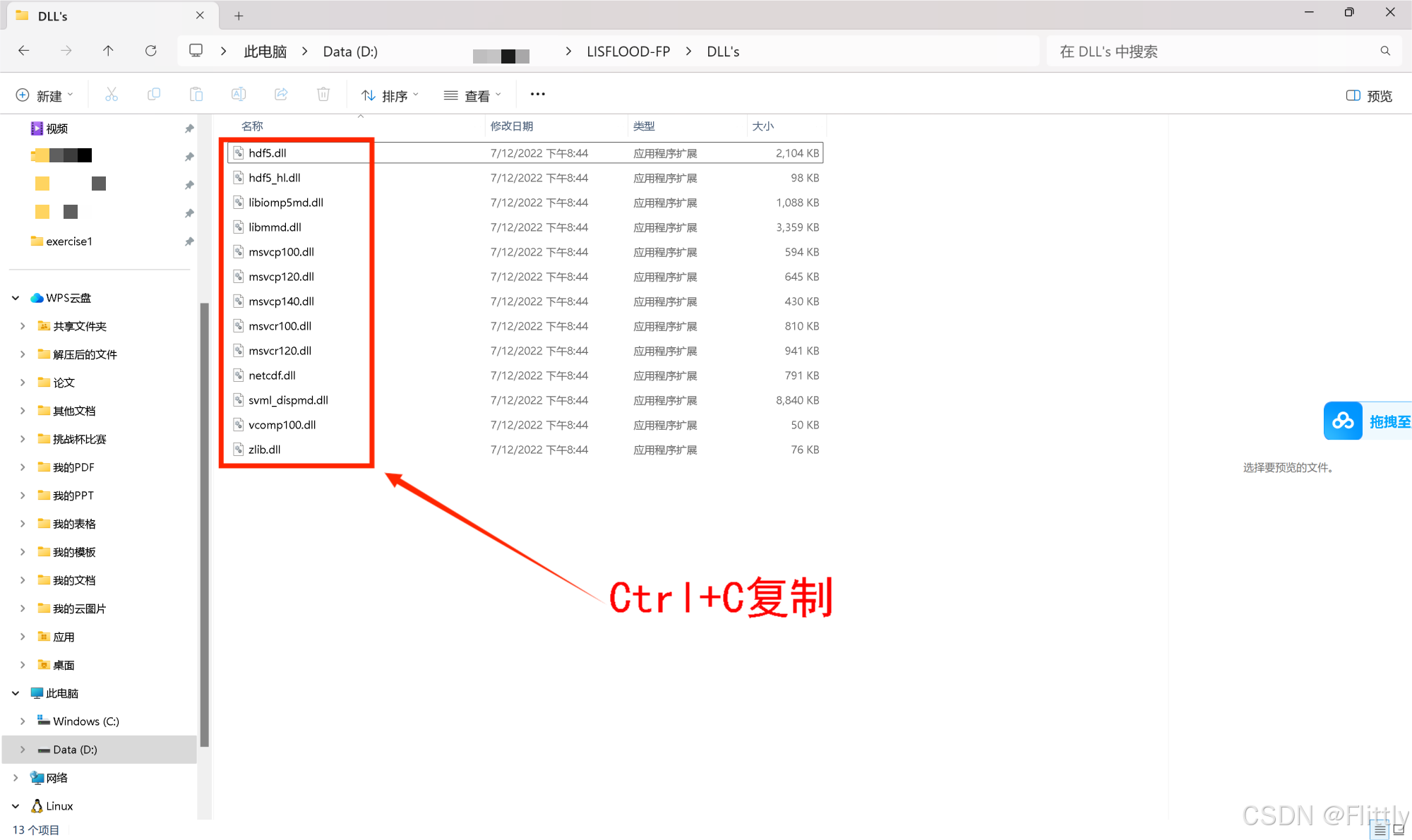 【LISFLOOD-FP使用指南】（1）快速上手-CSDN博客