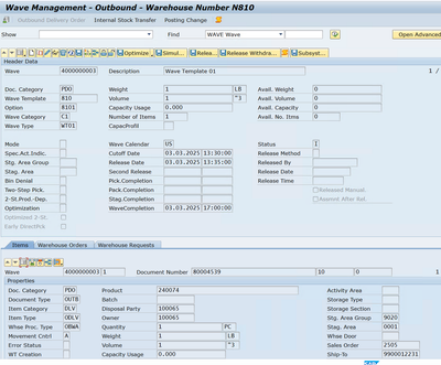 SAP EWM: Wave Management (Configuration & Execution)_sap wave-CSDN博客