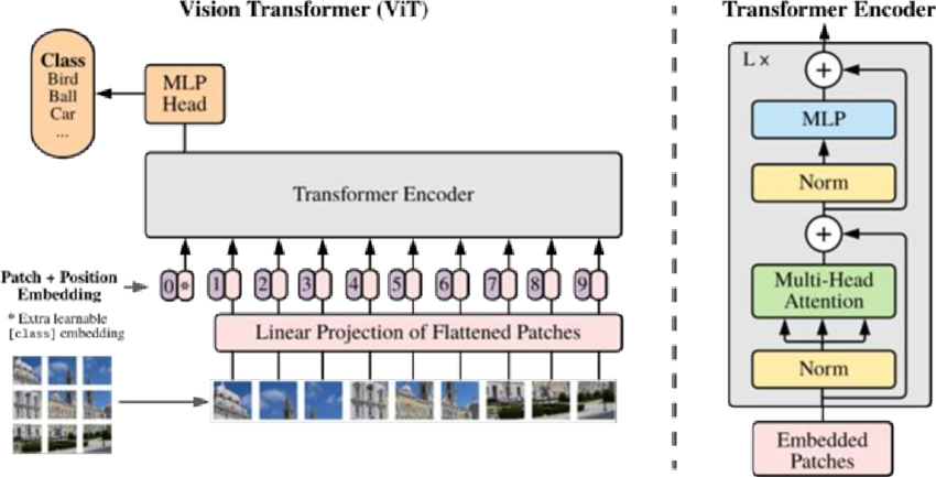 一文读懂经典深度学习模型—CNN、RNN、LSTM、Transformer、ViT_cnn模型-CSDN博客