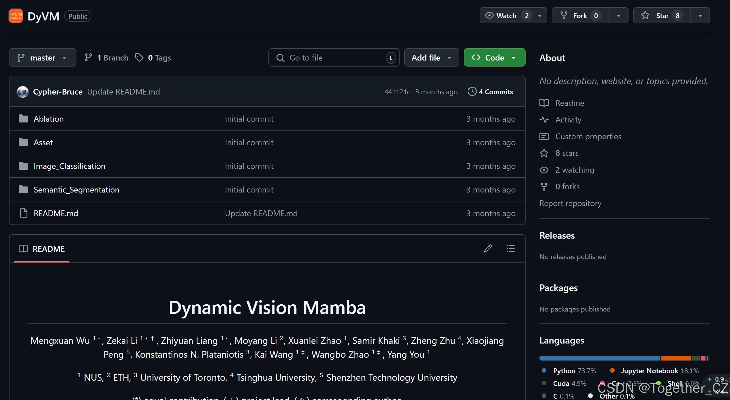DyVM：Dynamic Vision Mamba——动态视觉 Mamba-CSDN博客