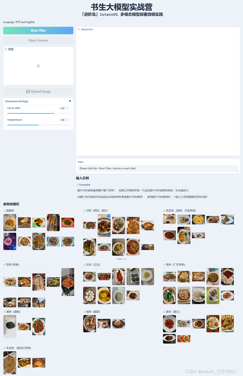 挑战第十一天：InternVL 部署微调实践_internvl2 微调-CSDN博客