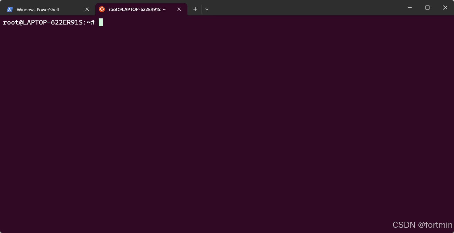 Windows基于WSL开发教程_.wslconfig-CSDN博客