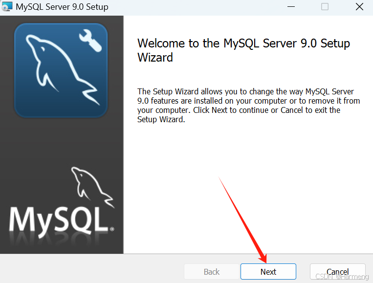 MySQL在Windows中安装与配置（9.0版详细教程）_mysql9.0安装教程详细步骤-CSDN博客