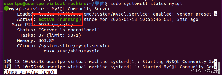 Ubuntu 20.04.6 安装 MySQL_ubuntu20.04.6安装mysql-CSDN博客