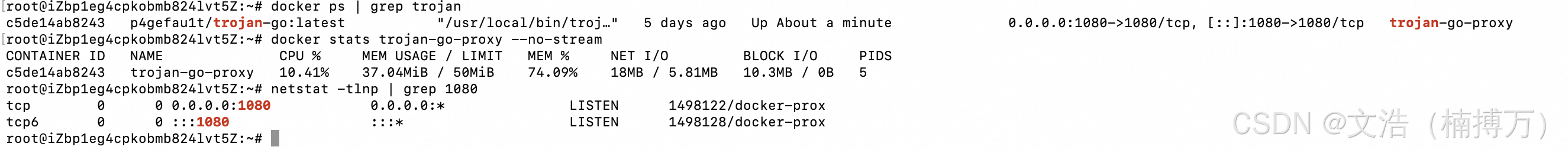 【超简单教程】Docker部署轻量级Trojan代理：从内存爆炸到完美解决-CSDN博客