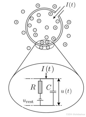 SNN：IF/LIF神经元模型-CSDN博客