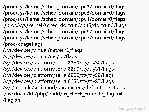ctf打靶练习之rce_ctf rce-CSDN博客